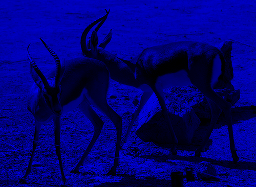 Machine Learning for Computational Economics